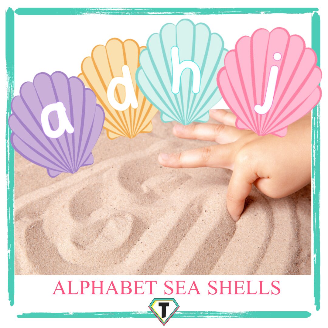 Alphabet Seashells - The Teacher Hero